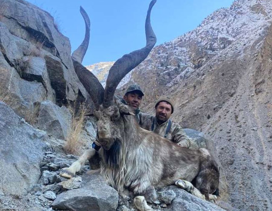 Astor Markhor Hunting In Pakistan | Astor Markhor Trophy Hunting In ...